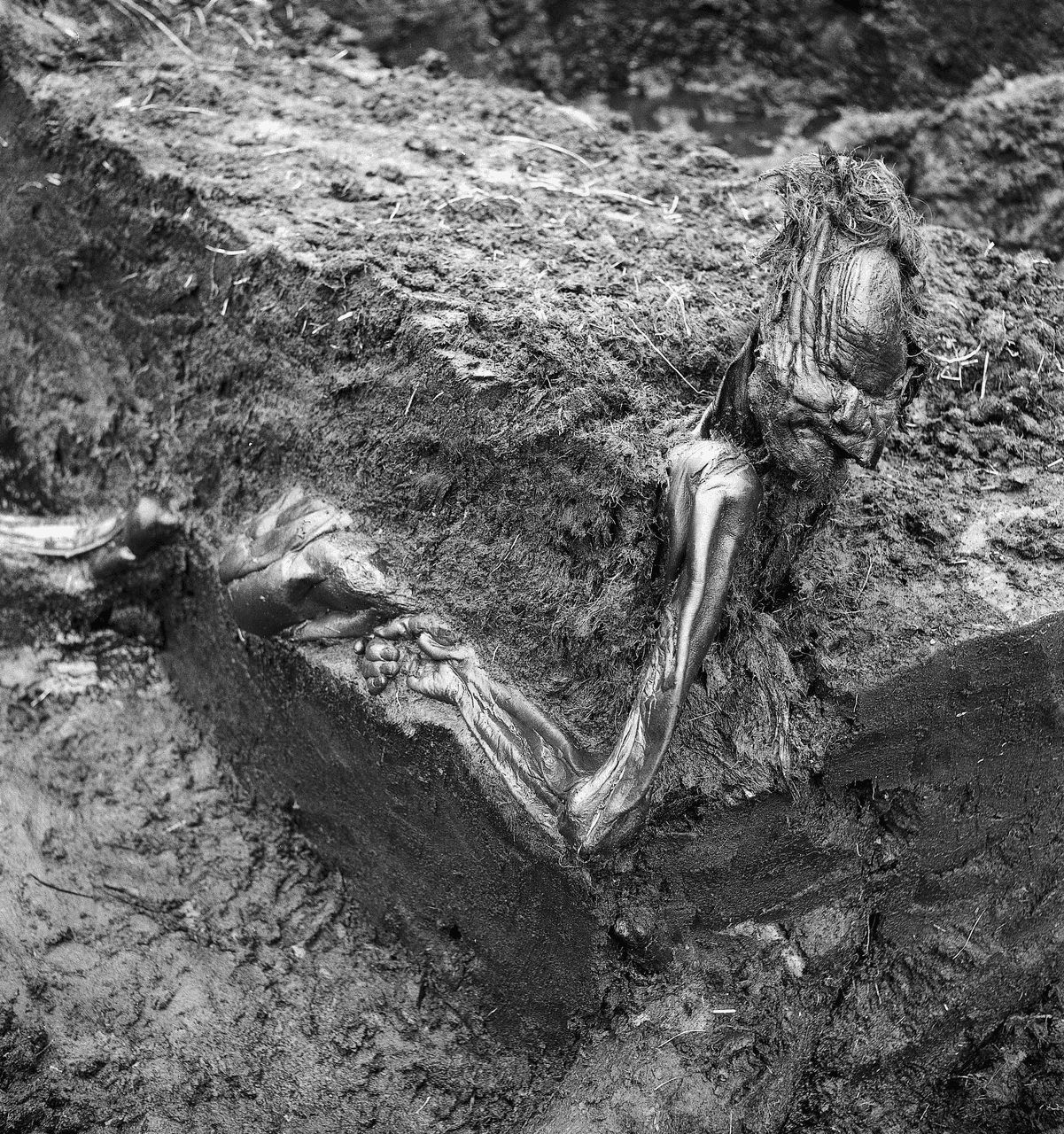 Grauballe Man - Moesgaard