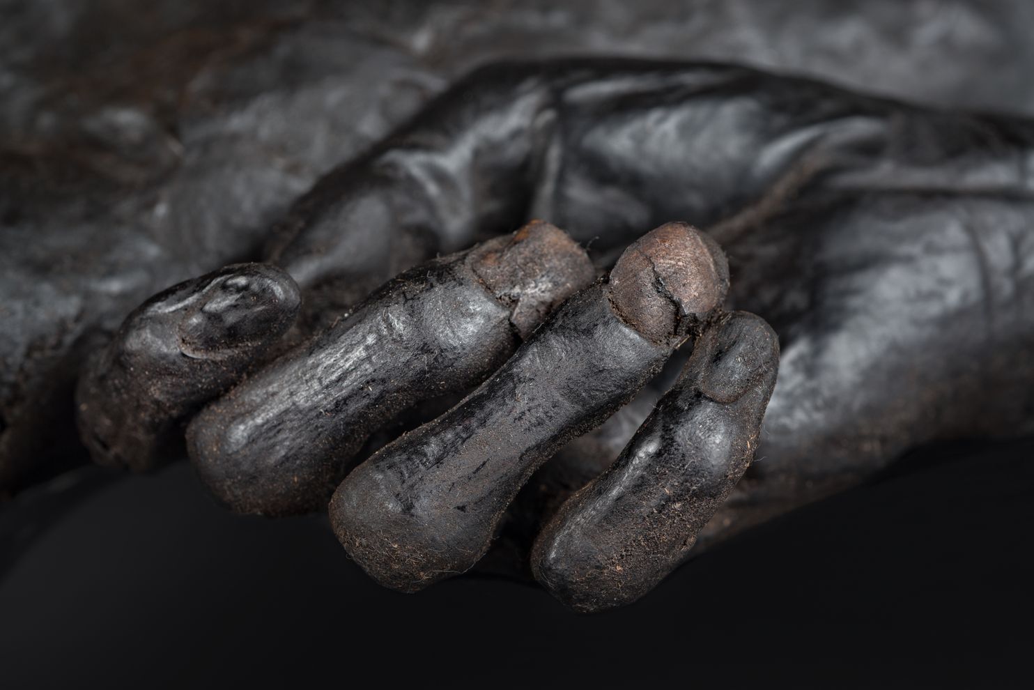 Grauballe Man - Moesgaard