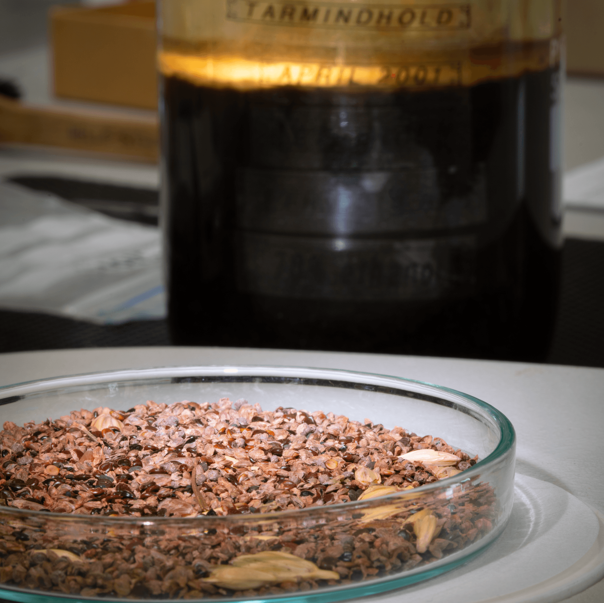 Grauballe Man - Moesgaard